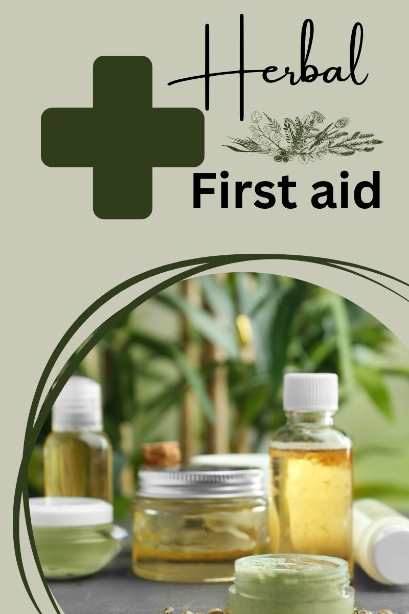 🌿 What's in Your Beginner’s Herbal First Aid Kit - Enchanted Herbals